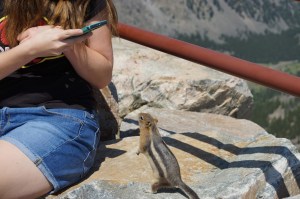 PROMISES – His Unfolding Grace